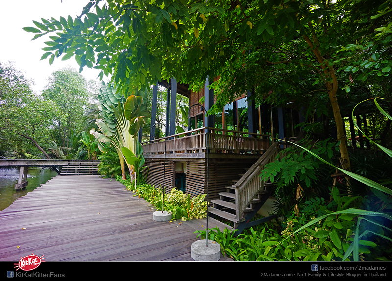 Music Square ชิมอาหารในมหาลัยมหิดล ศาลายา ณ ร้านมิวสิคสแควร์